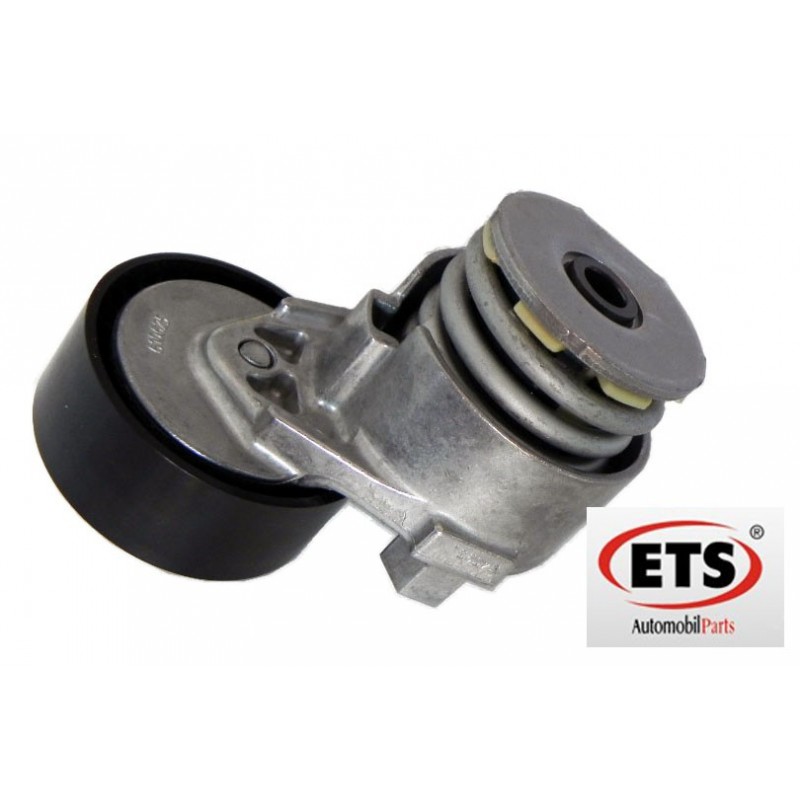 Rola curea accesorii Dacia Logan 7700102872, 8200403954 ETS - Piese ...